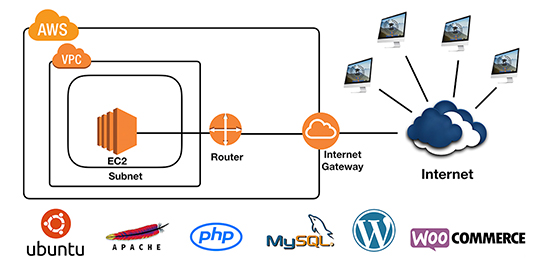 Hosting website in AWS - Master2Teach